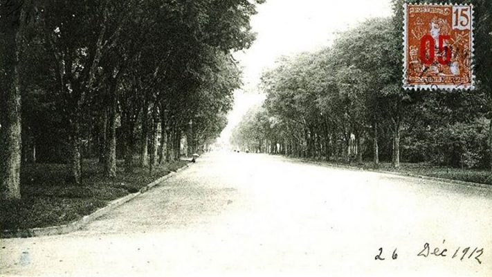 CÔNG VIÊN BÁCH TÙNG DIỆP VÀ LỊCH SỬ HÌNH THÀNH